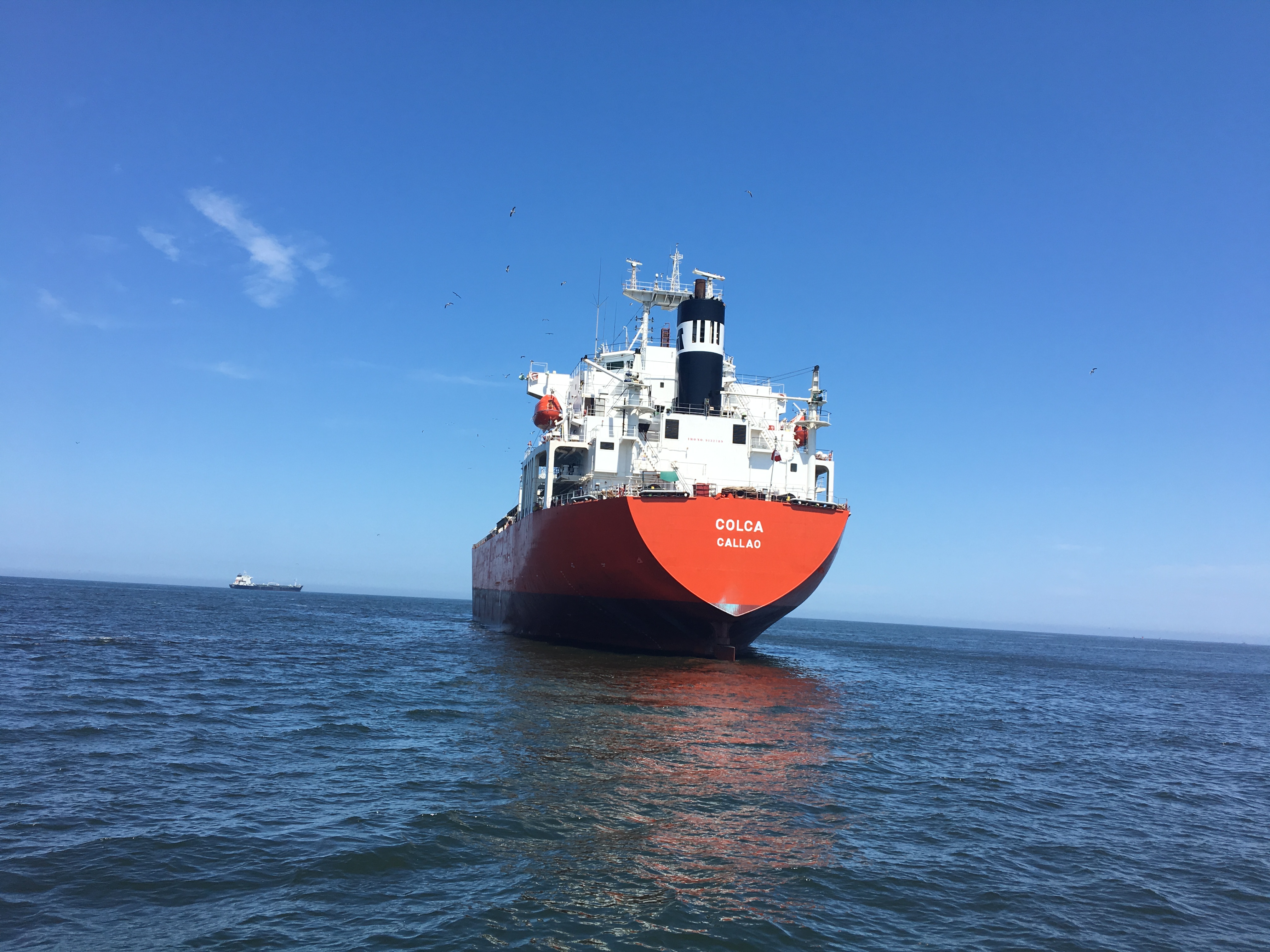 Home Page [www.navitranso.com]